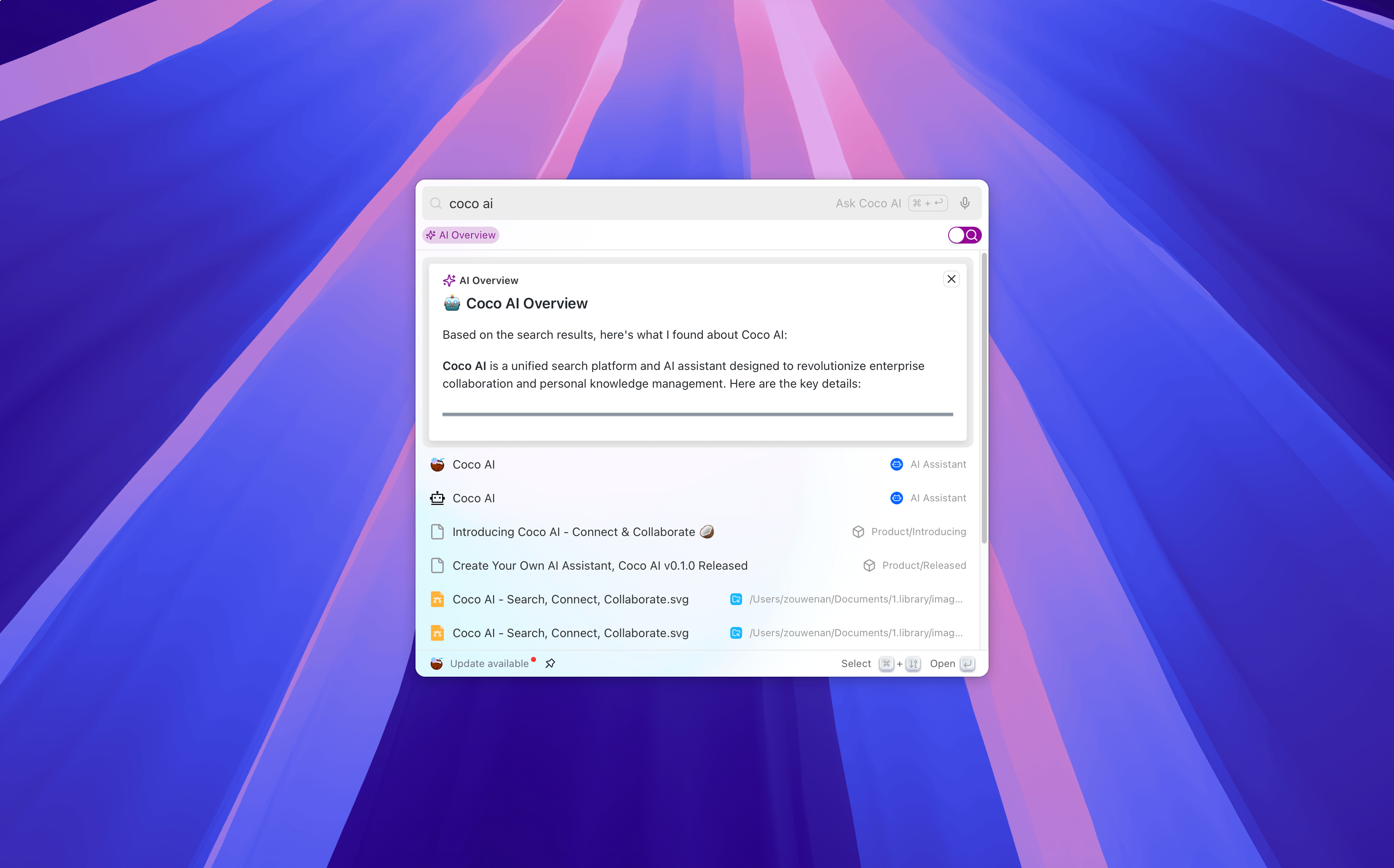 AI Overview | Coco AI App
